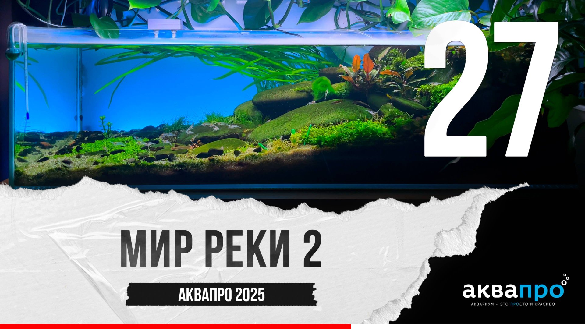 27. Мир реки 2. #АкваПро