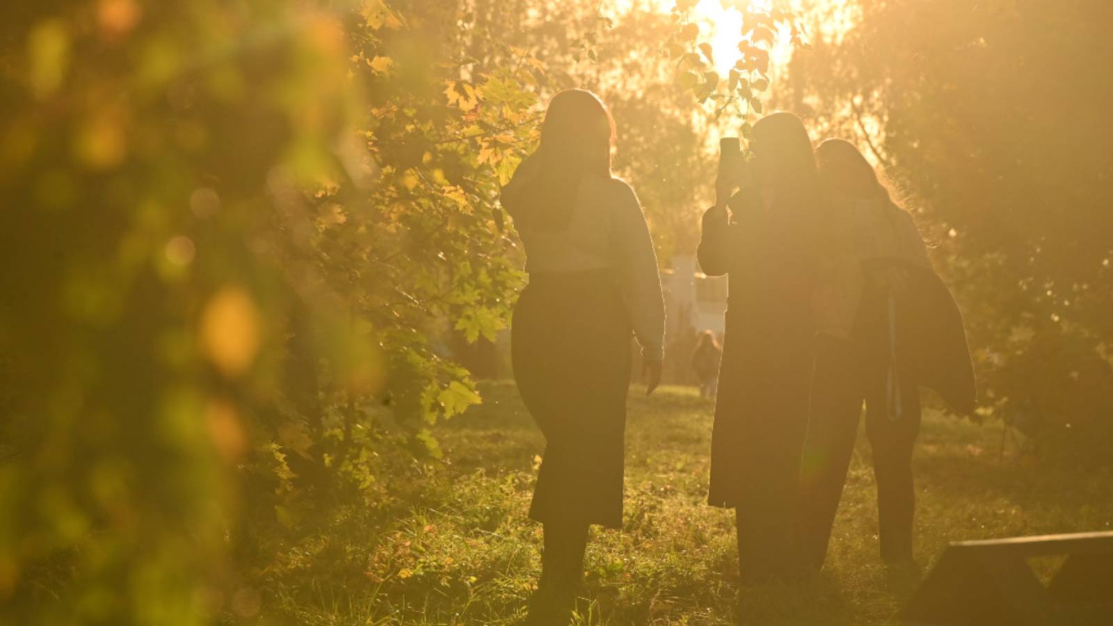 Атомный реактор Есенин.Обзор событий недели.РВ ТВ