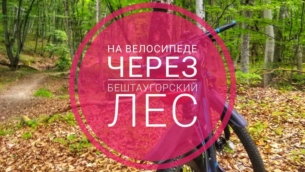 На велосипеде по Бештаугорскому лесу