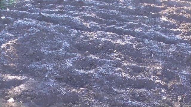 Мой фильм  Первые заморозки