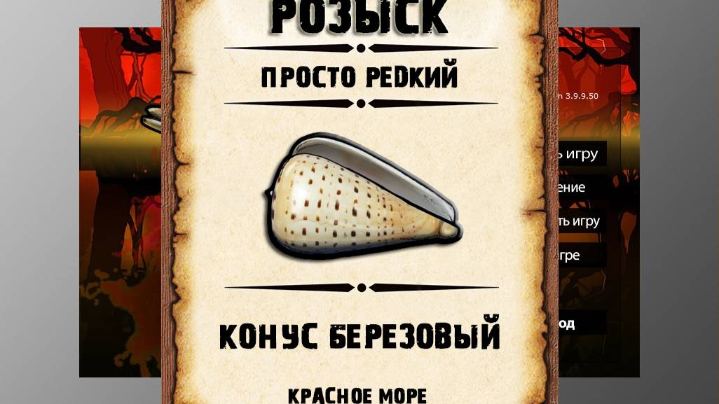 Редкости рр3. Конус березовый рр3. Красное море.