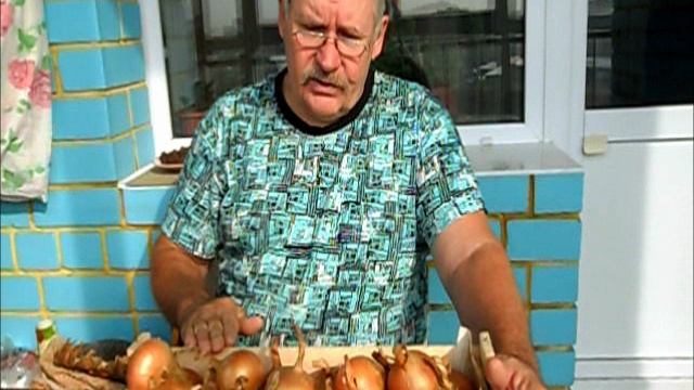 О хранении репчатого лука