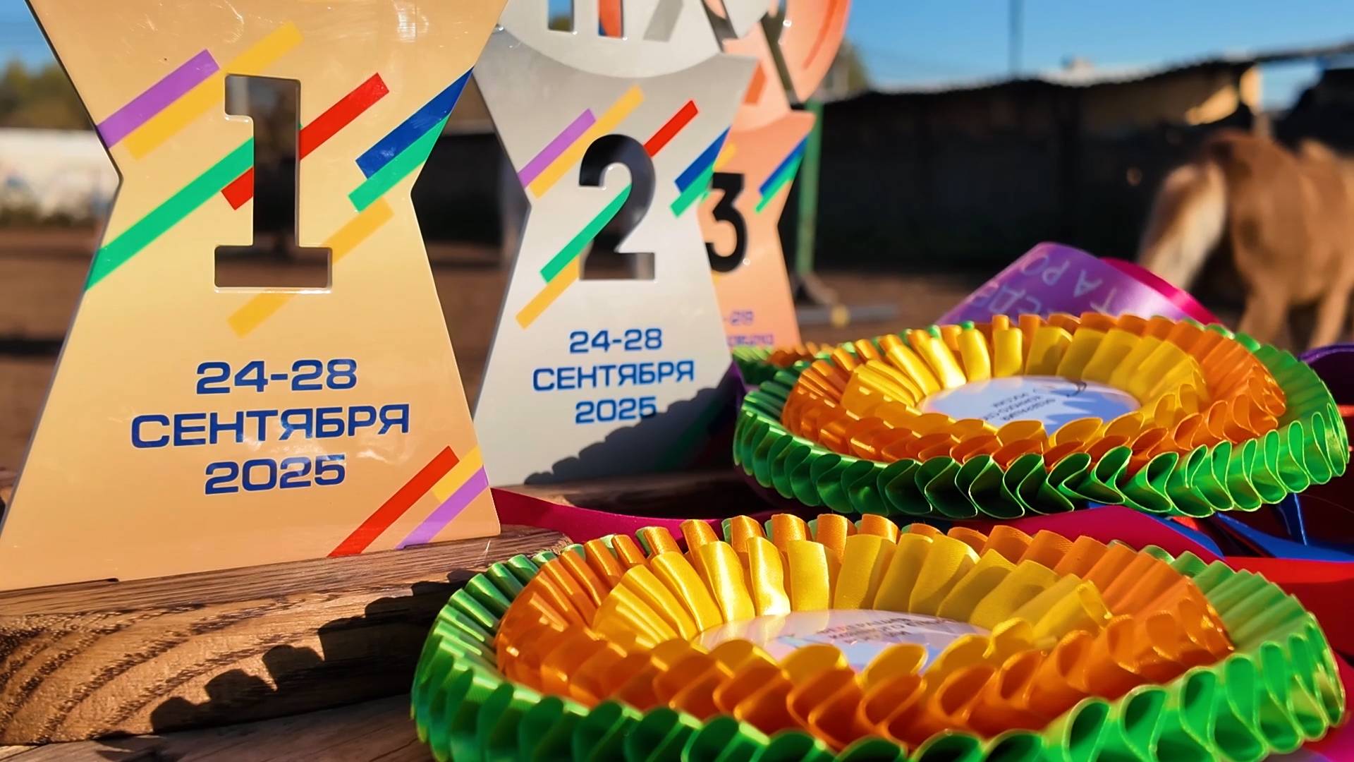 Воспитанницы конного клуба победили в состязаниях