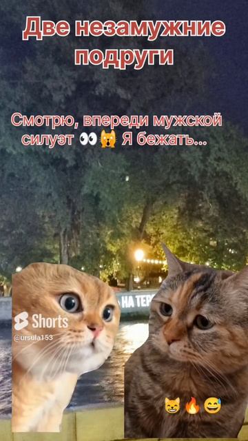 У каждой из нас есть такая "отбирая" подруга!? Ставь 👍 если ДА! #мем #двакота #юмор #анекдот #ржака