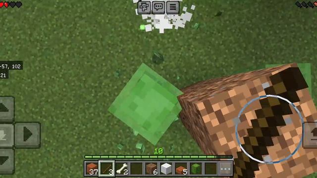 нашествие слизней 21 день