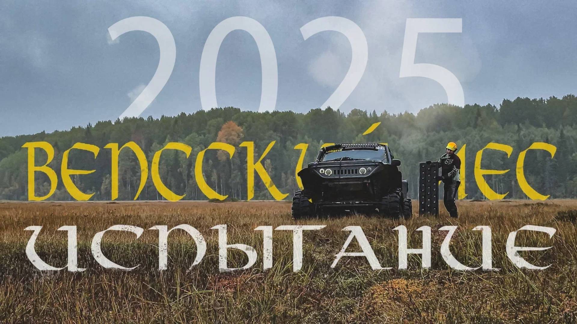 Трейлер «Вепсский лес 2025»