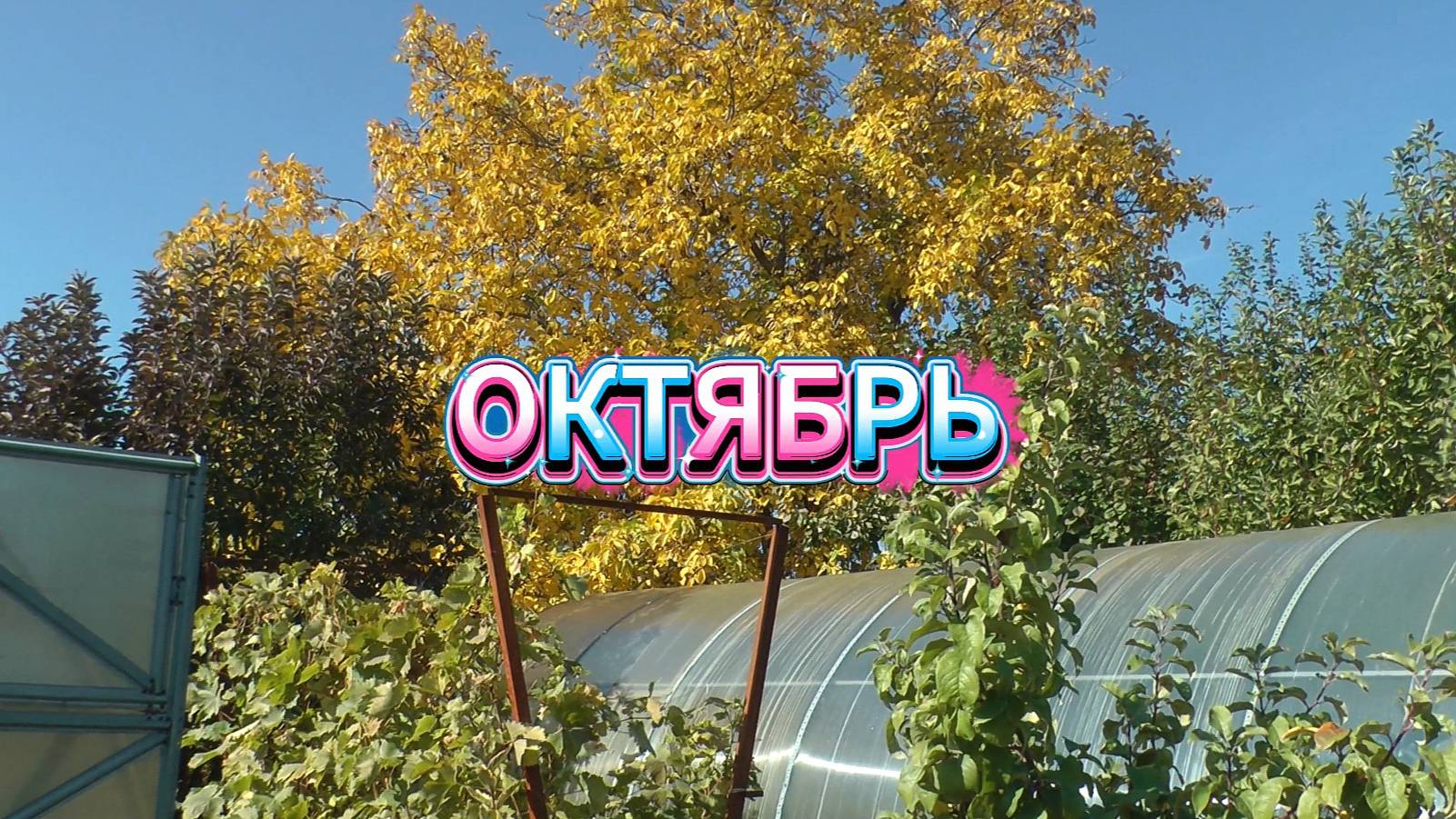 10. Календарь дачника. ОКТЯБРЬ