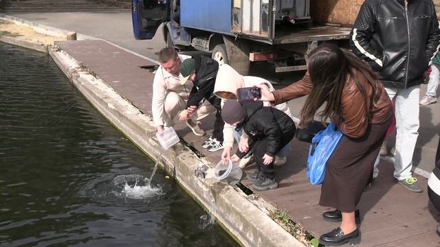 Рыбы в светловском водоёме стало больше
