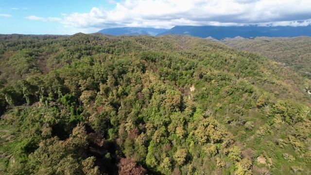 Абхазия. Полёт над дачей Сталина. Падение дрона.
