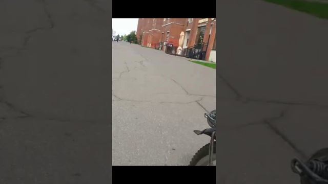 СПБ_КАЖДЫЙ_САМ_СПАСИТЕЛЬ_СВОЕГО_МИРА_101025--N_S0F_TREE_8 -