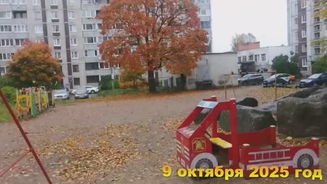 7 соток. Погода в Выборге в октябре. Хроника 9 октября 2025 год