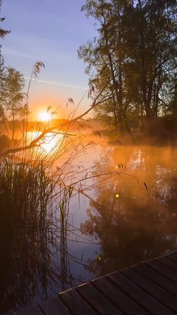 Утренняя дымка