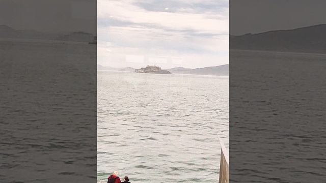 ресторан Баба Гамп