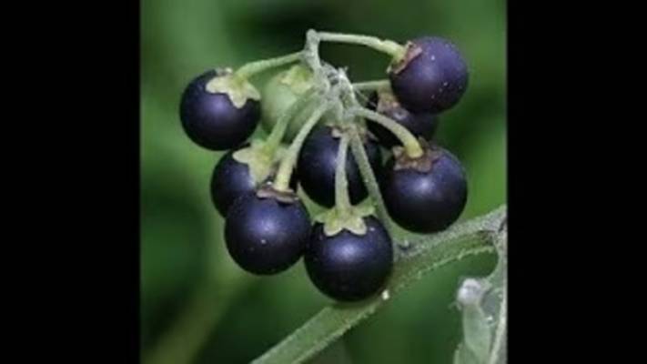 Варенье в термомиксе. Маринкины творинки. Всем МИРА и Добра!