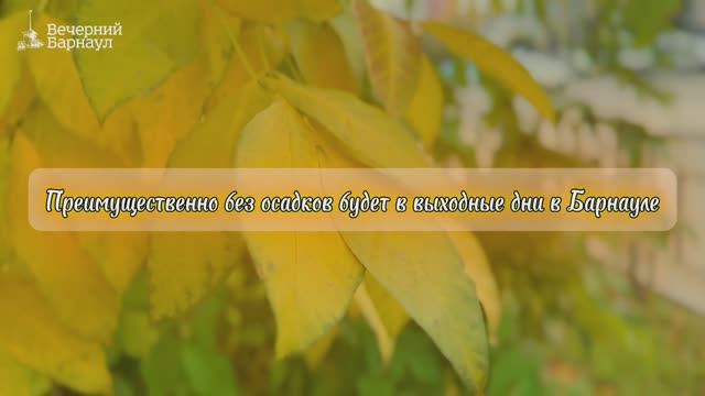 Преимущественно без осадков будет на территории Барнаула в выходные дни