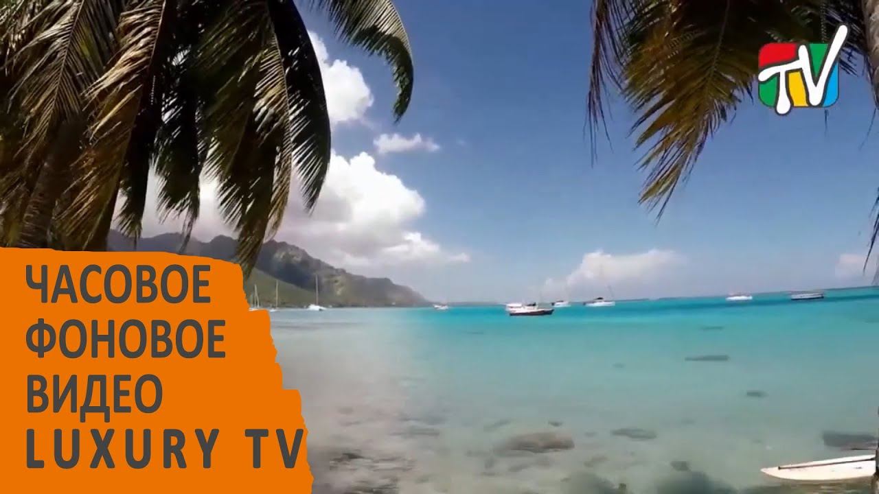 Luxury TV | Фоновое видео для ресторанов, кафе, баров |  Запись эфира