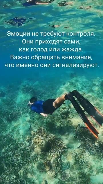 Эмоции не требуют контроля...