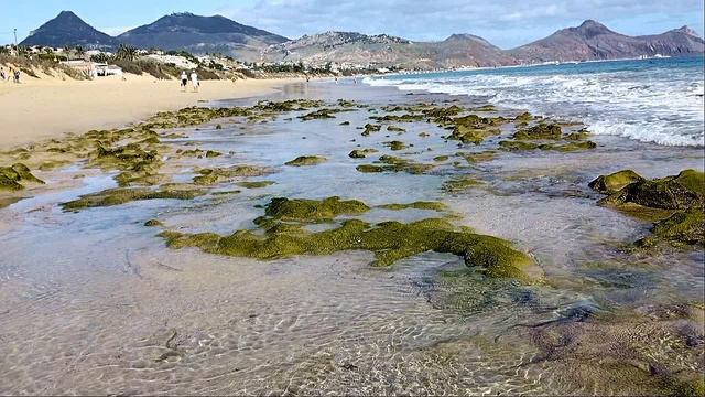 пляж после отлива