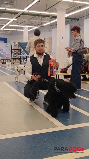 PARADOGs в комплексе выставочных мероприятий от «Олимп»