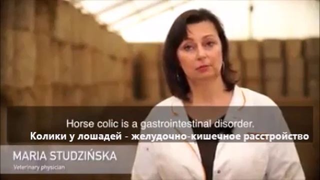 Опыт Польши по применению ЭМ-препаратов для лошадей