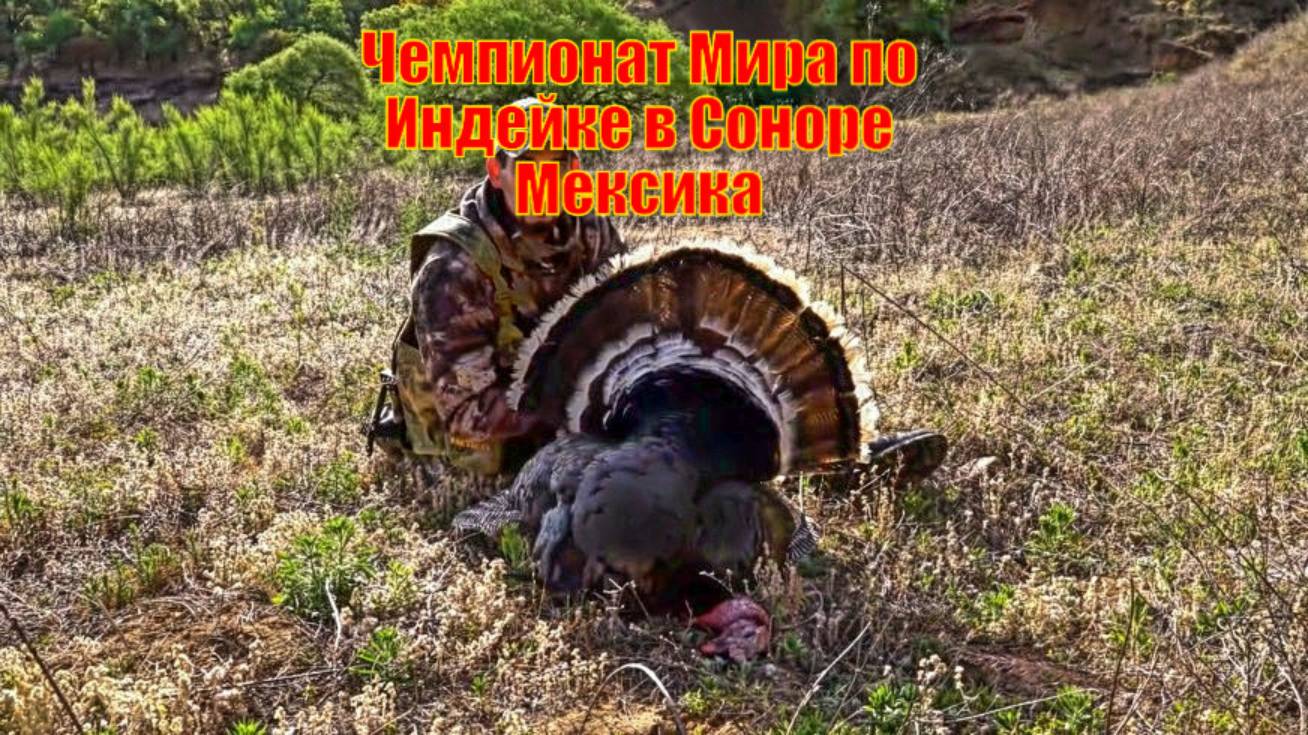 Чемпионат Мира по Индейке в Соноре Мексика
