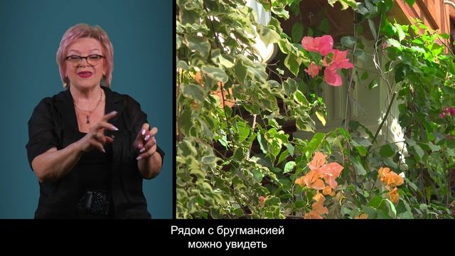 Вторая оранжерея Царицына. Экскурсия на русском жестовом языке. Часть 1