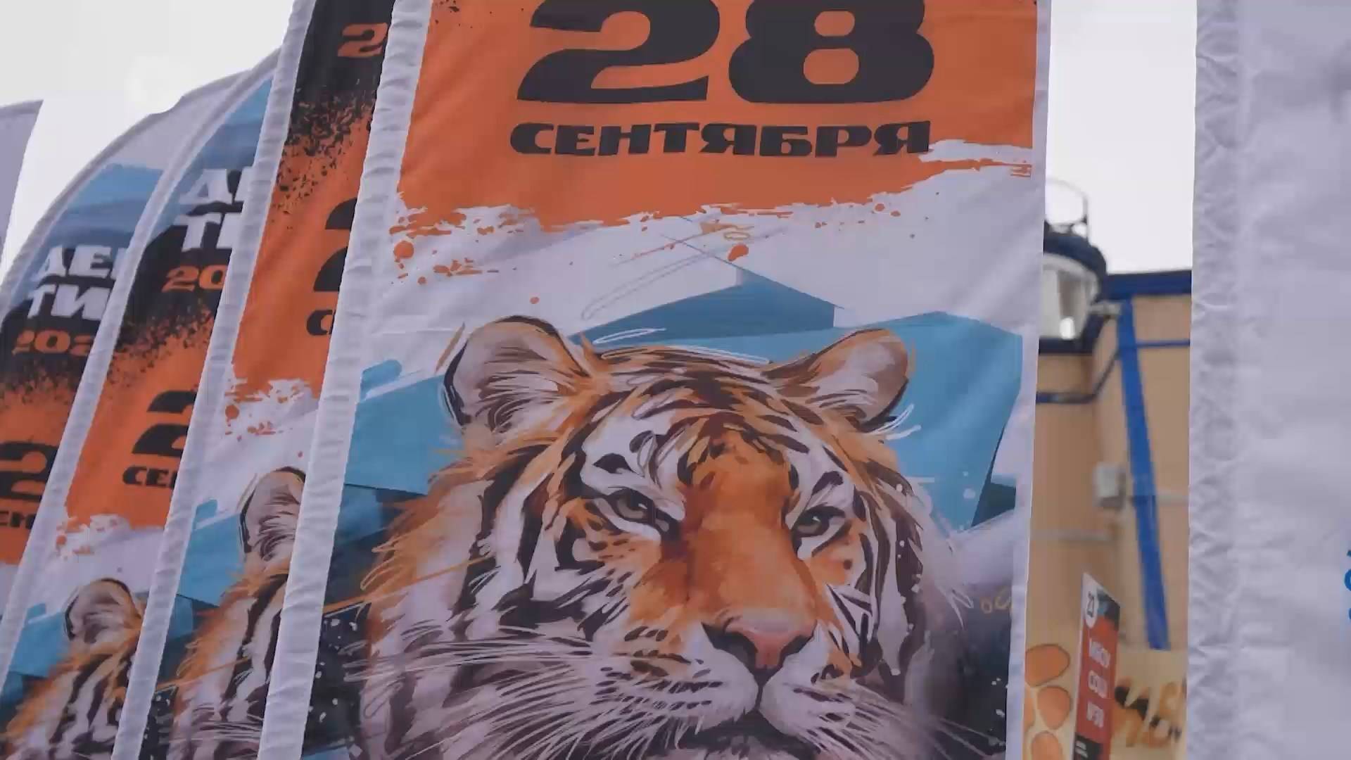 Мегаполис / День тигра / 09.10.25