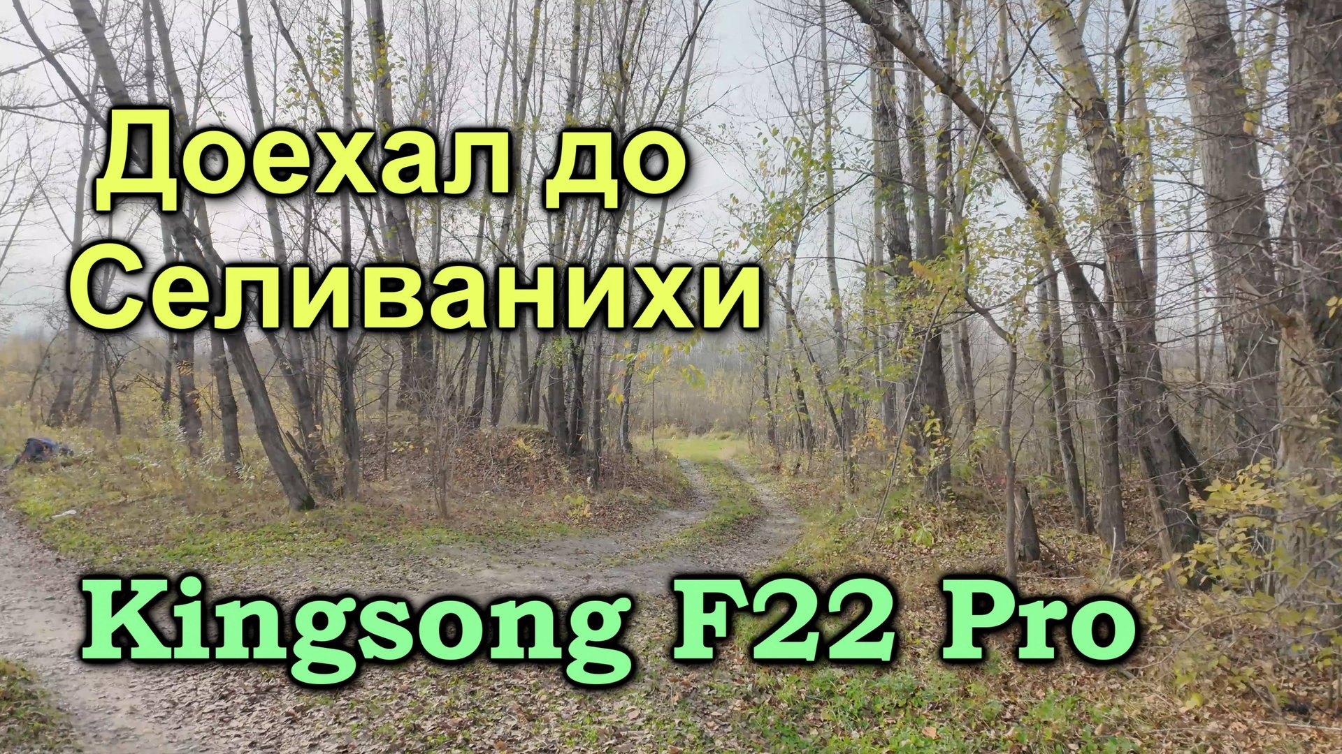 3-5 Селив. Доехал до Селиванихи на моноколесе Kingsong F22 Pro.