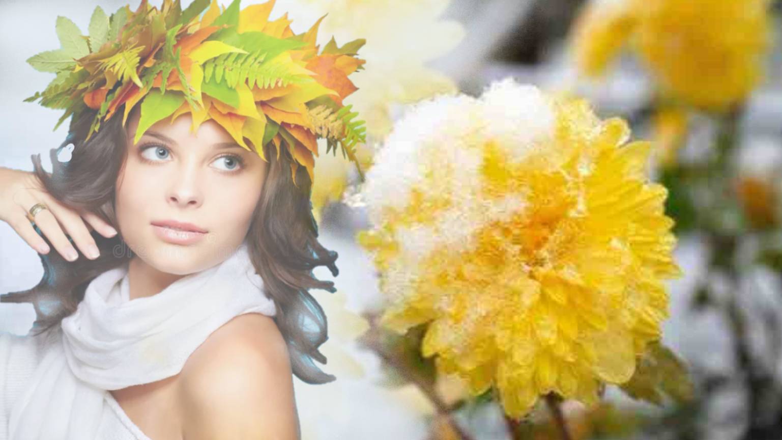 Ранняя Зима вступает в свои права