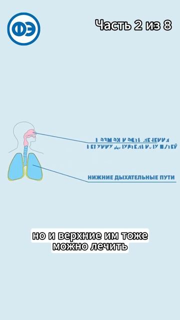 2 часть: Как правильно использовать небулайзер ✔️