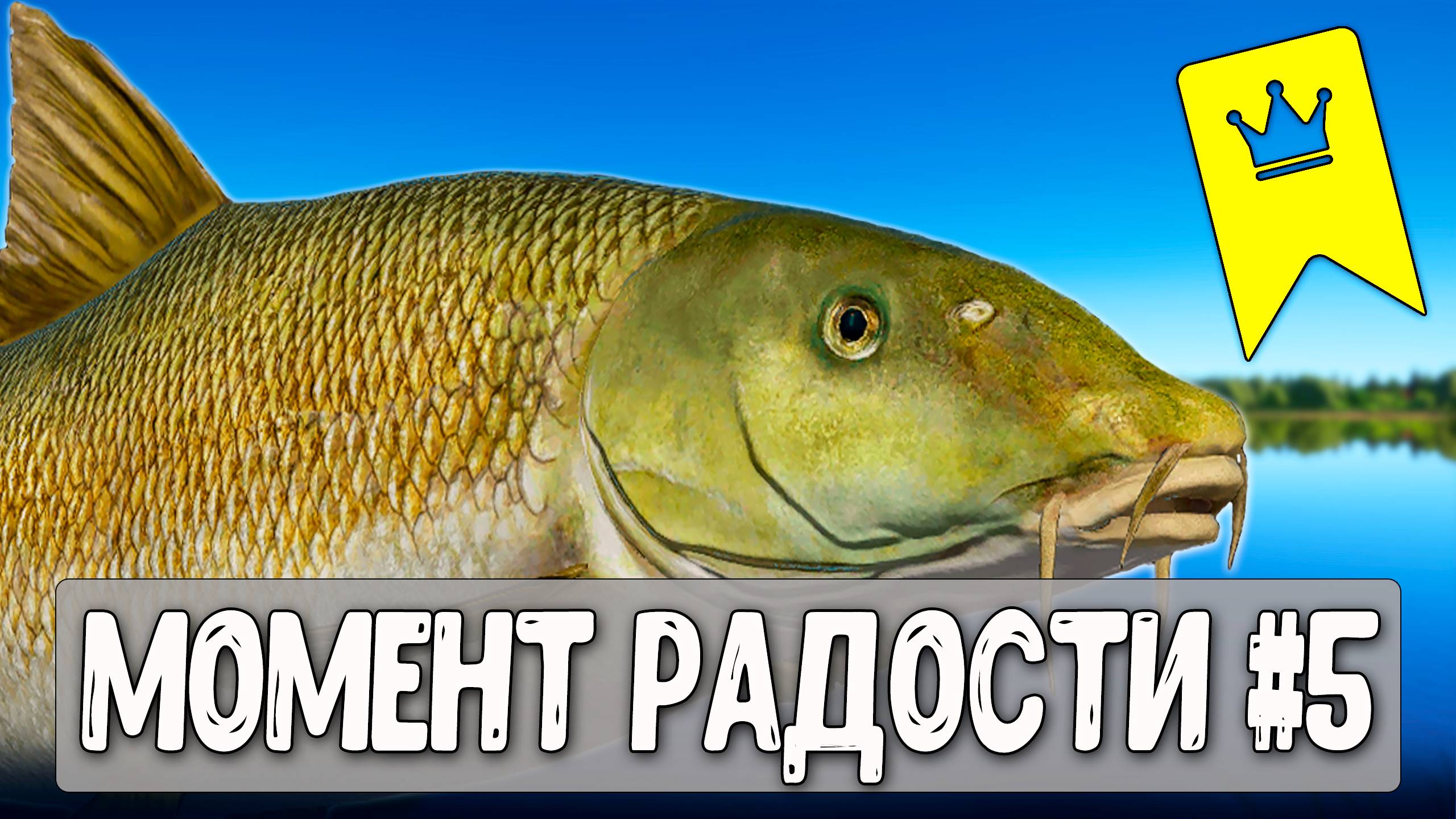 Он пришёл с голдой и выловил размотного трофея #рр4