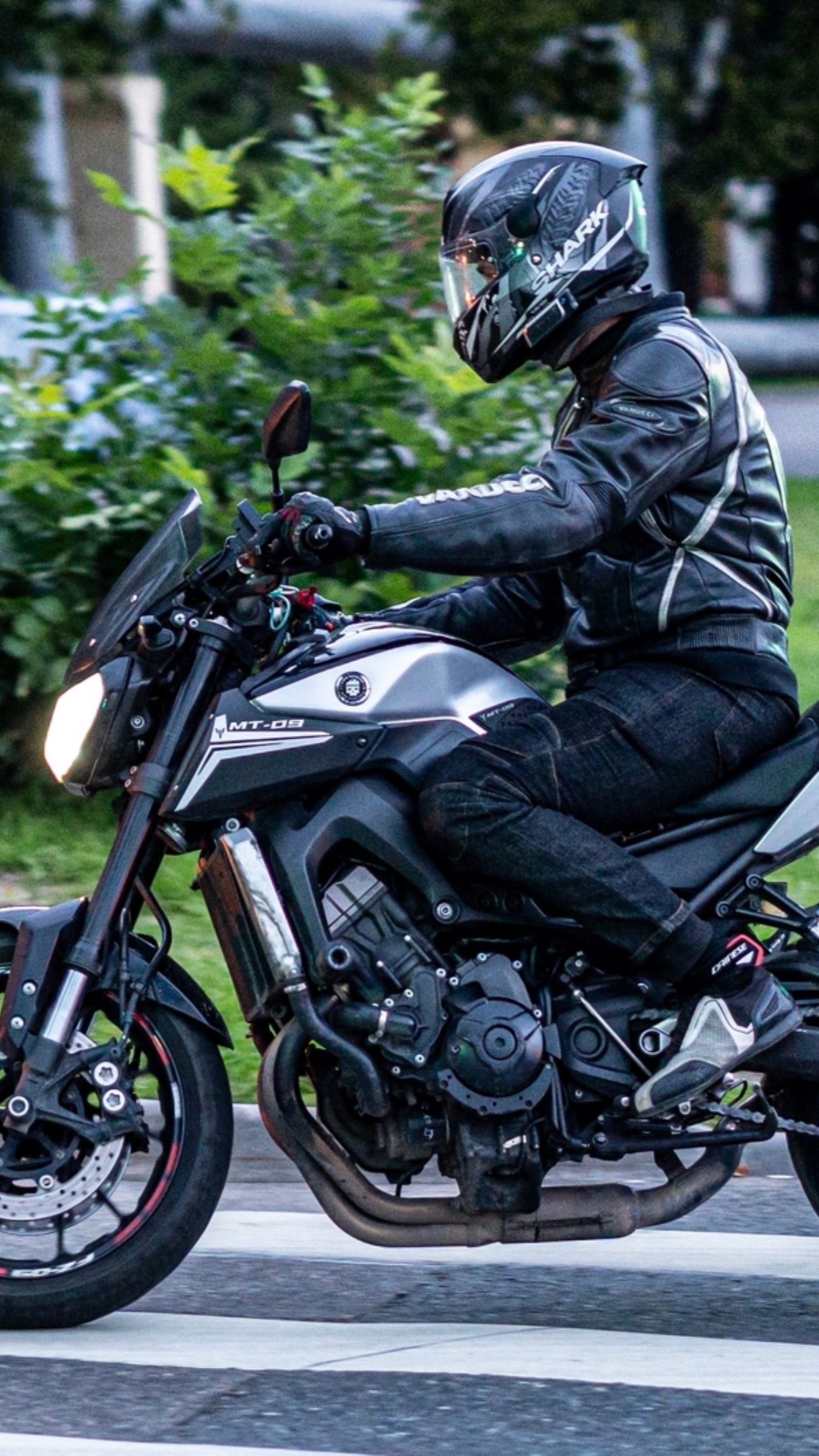 Видео для shorts