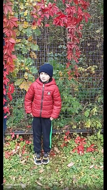 С днём учителя- Лисецкий Николай