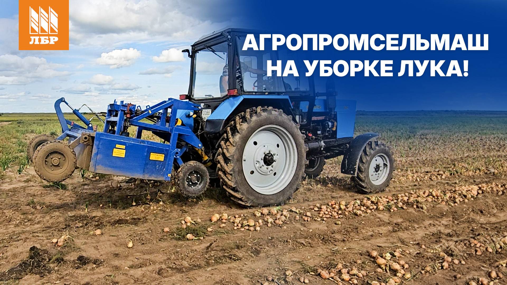 Уборка лука в Амурской области. Ботвоудалитель и Копалка. Часть 1