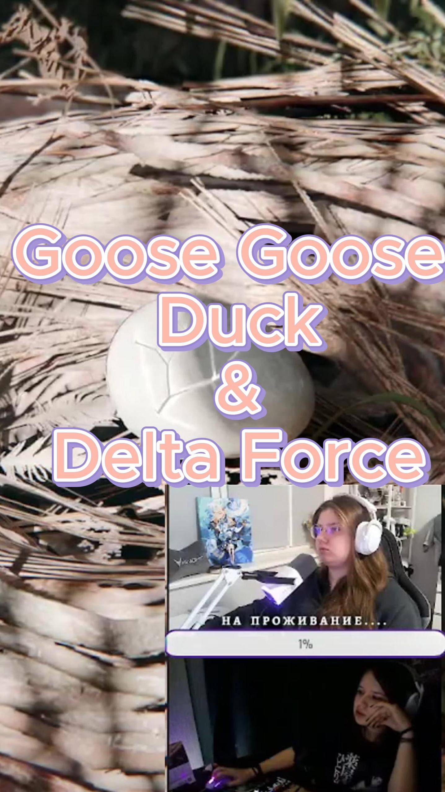 Гуся в студию/Вебка в эфире/KirAsuna🌸