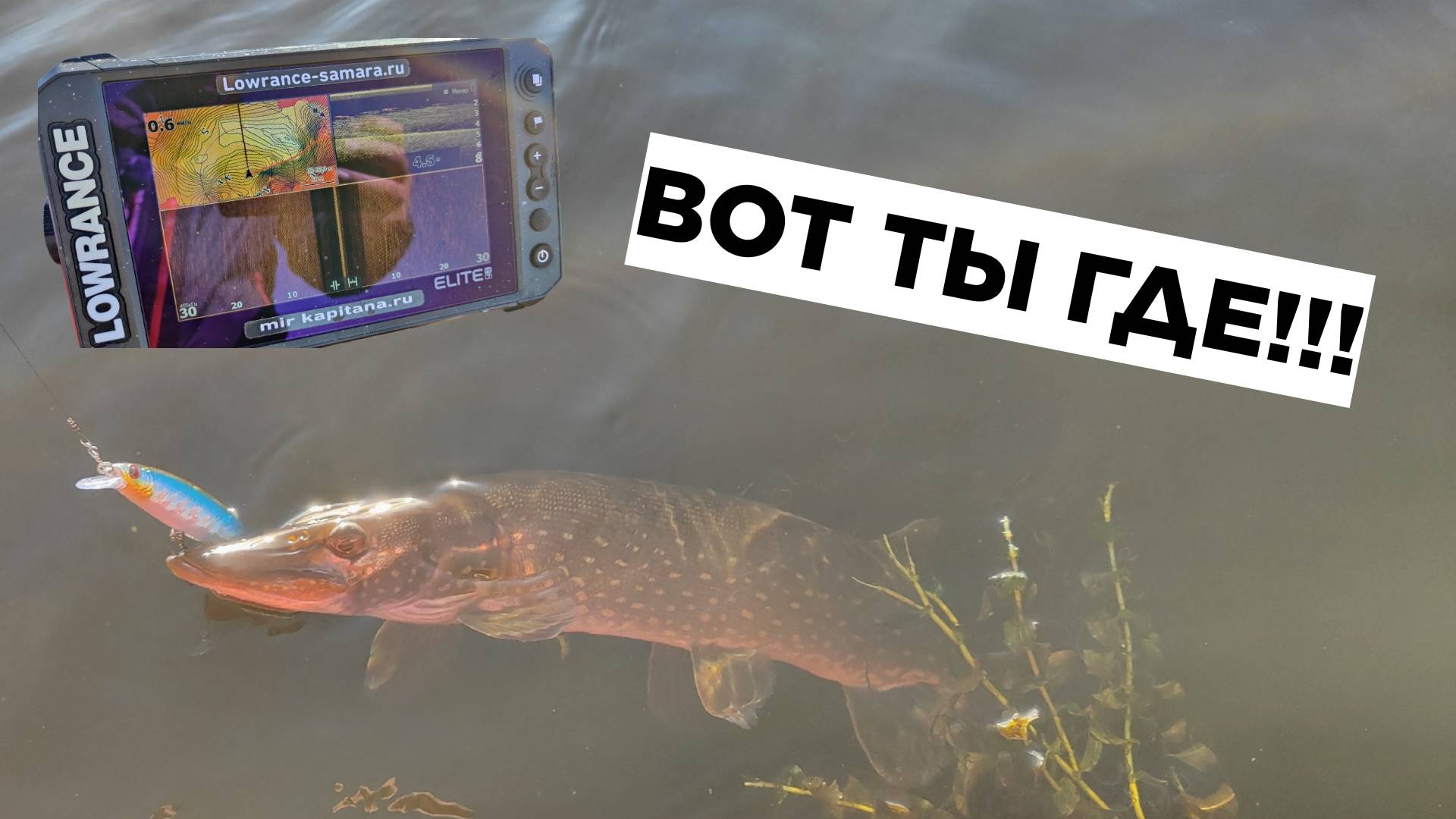 НАШЁЛ ГДЕ ПРЯЧЕТСЯ ЩУКА ОСЕНЬЮ! Осенняя рыбалка на хищника, знаю где искать