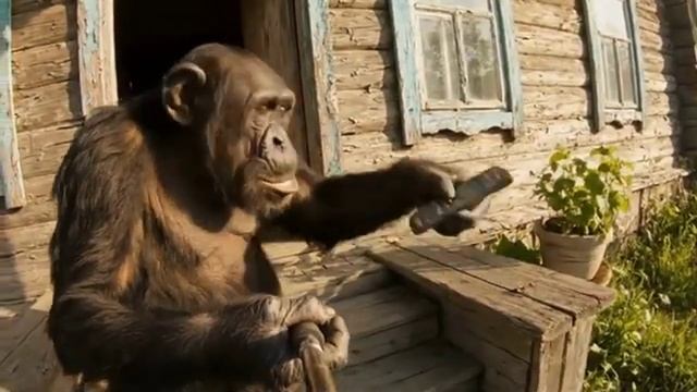 Услуги по обслуживанию корреспондентов!