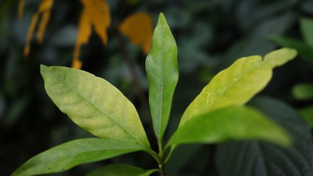 Отдохни здесь и сейчас под медитативную музыку. От стресса,тревоги, для души, без слов, спокойная.