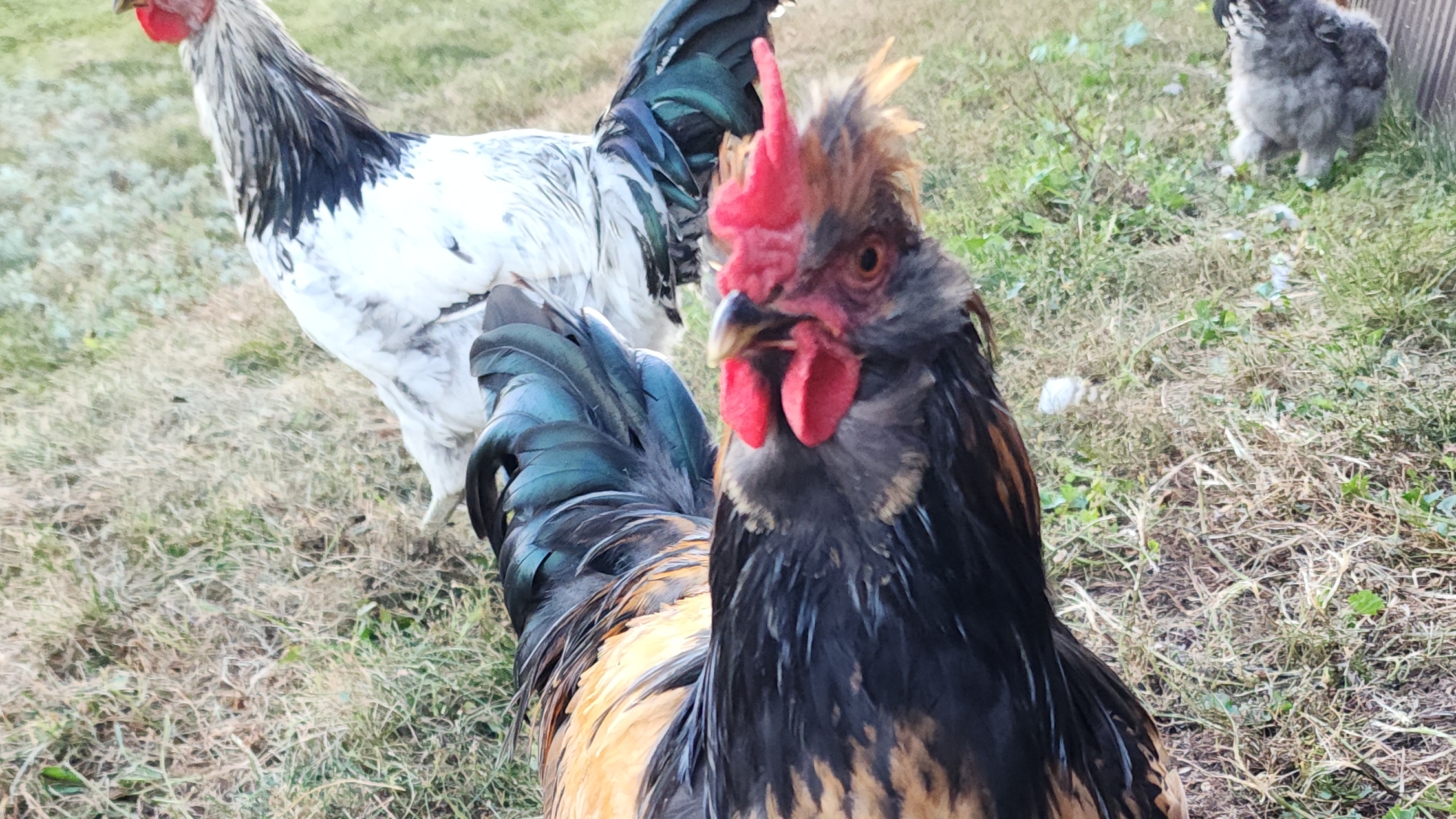 Вчерашний борщ. Продолжение...