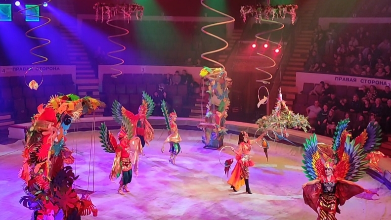 Цирк, представление Жар-птица. Выступление животных.