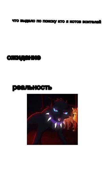 кто я из котов воителей
