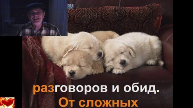 Не законченный роман.