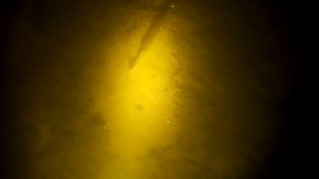 Эльдорадо в шаговой доступности