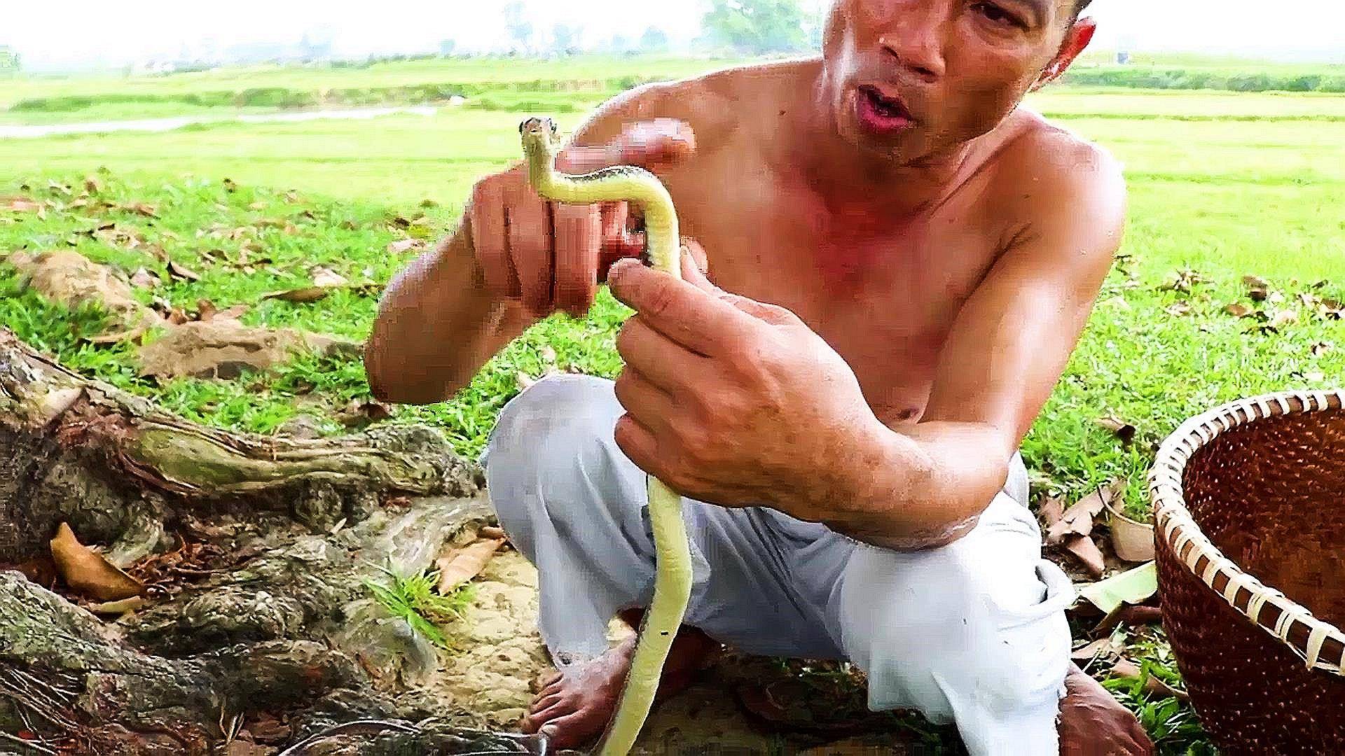 УЛЁТНЫЕ МОМЕНТЫ И ТРЮКИ ИЗ ОБЫЧНОЙ ЖИЗНИ НЕОБЫЧНЫХ ЛЮДЕЙ #115