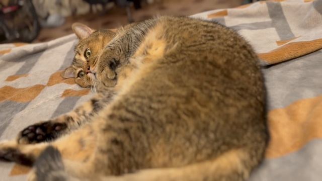 Вот и лето прошло , и наступила осень