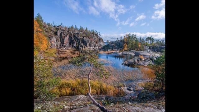 "ПУТЕШЕСТВИЕ В ОСЕНЬ"... (Фото Петра КОСЫХ (СПб), музыка - Berdien STENBERG (Нидерланды))