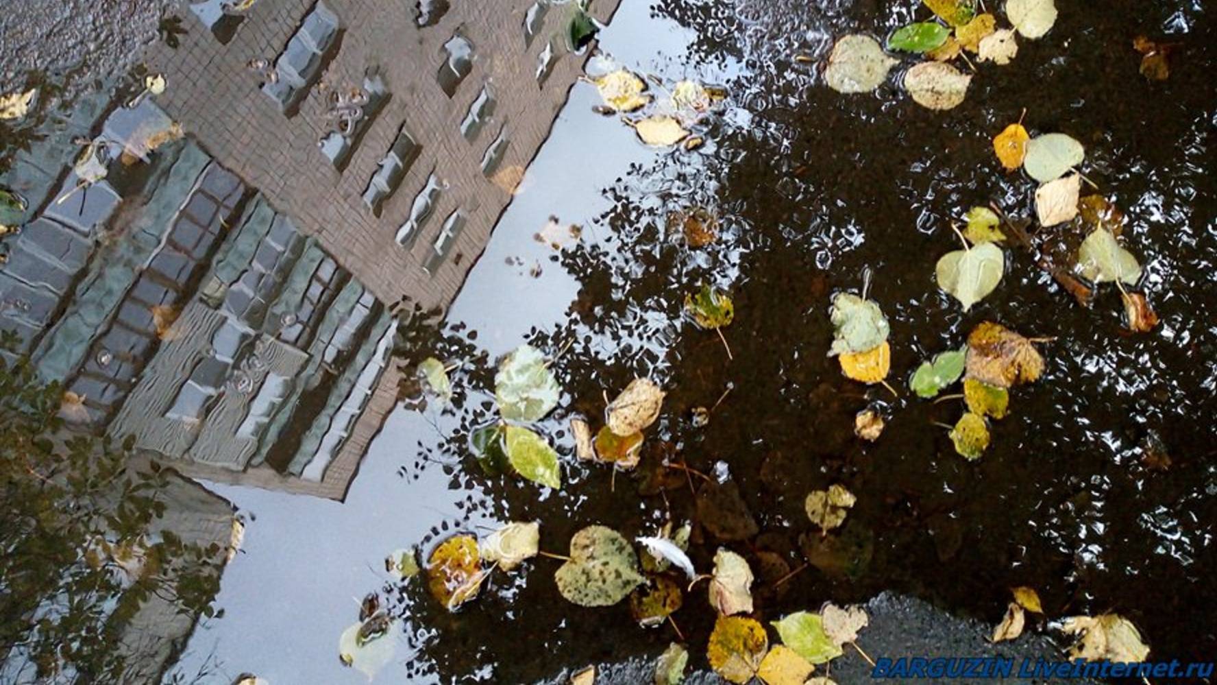 03 Шёл летний дождь