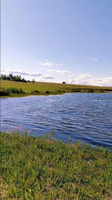 Хочется обратно в лето..Сторонка Родная..