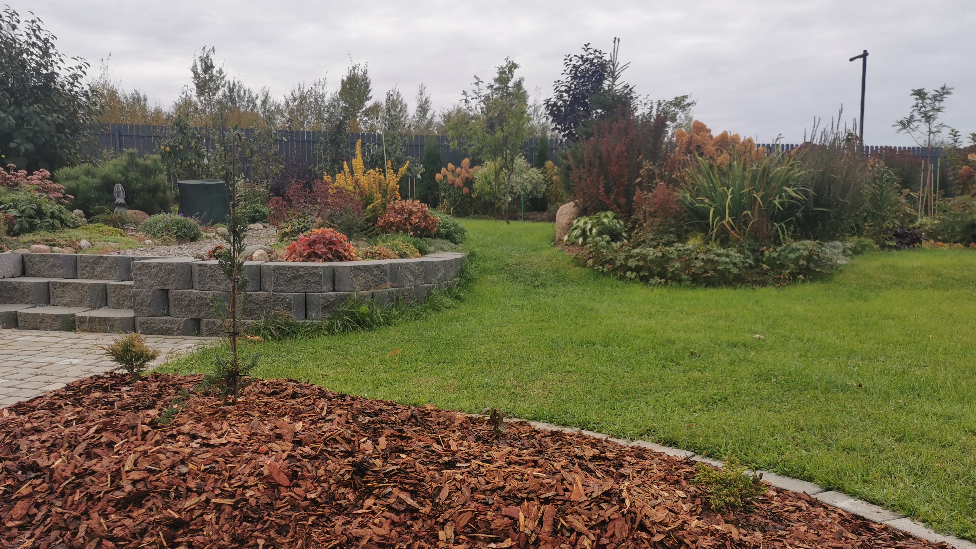 Можжевеловая горка. Начало осеннего разноцветия. 05.10.2025 восток Ленобласти