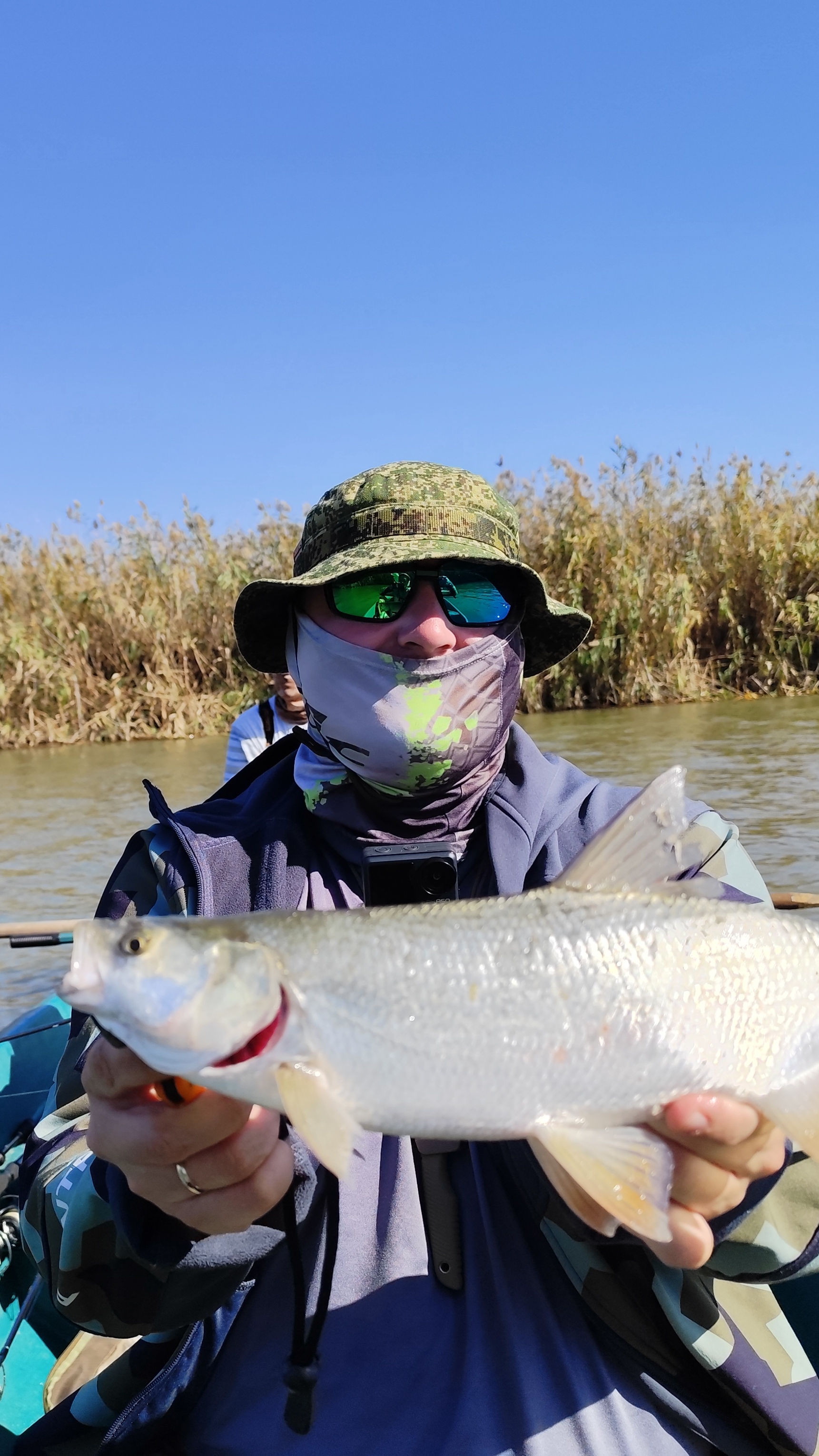 РЫБАЛКА В АСТРАХАНИ! ДЕНЬ ТРЕТИЙ! #рыбалка #fish #fishing #природа #отдых #рыба #shorts #красота